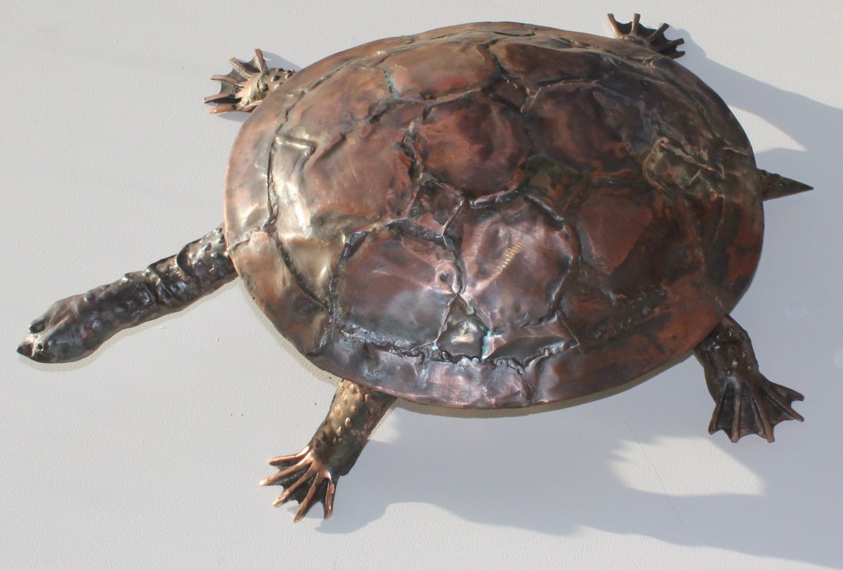 The Turtle | DEAN FOX