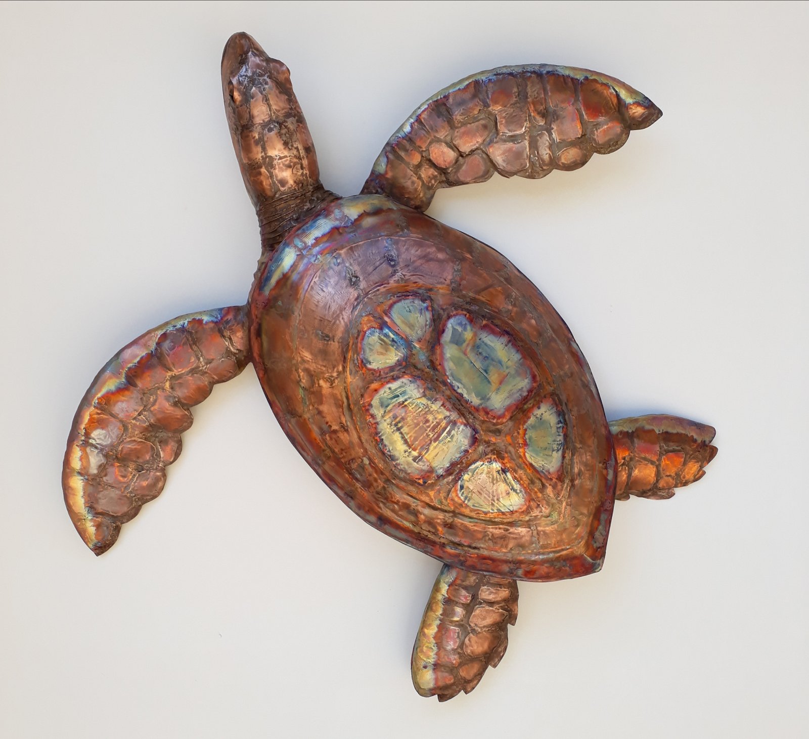 Sea Turtle | DEAN FOX